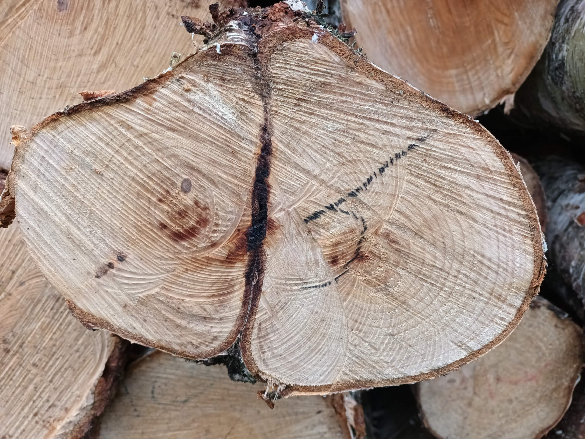 Juodeliai - geriausios kainos rinkoje