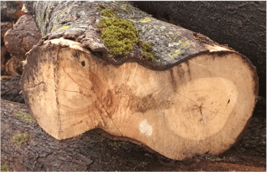 Juodeliai - geriausios kainos rinkoje